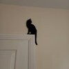 Black Labrador Door Topper Handmade Sitting on Top of Door Frame 3mm ...