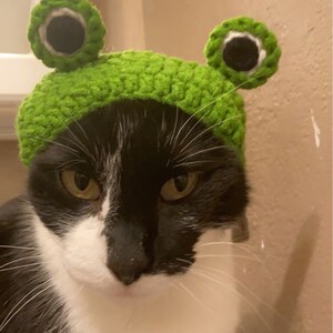 Green Knitted Yarn Frog Hat for Cat or Samll Animal Small and Medium ...