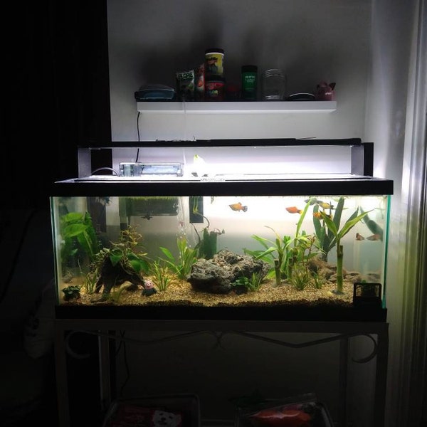 Nicrew Classic, Gen 2, G2, & Plus LED Light Riser, Attractive Stable ...
