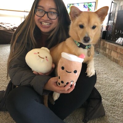 Cute Xiao Long Bao Dog Toy With Squeaker Cute Kawaii Chinese Dumpling ...