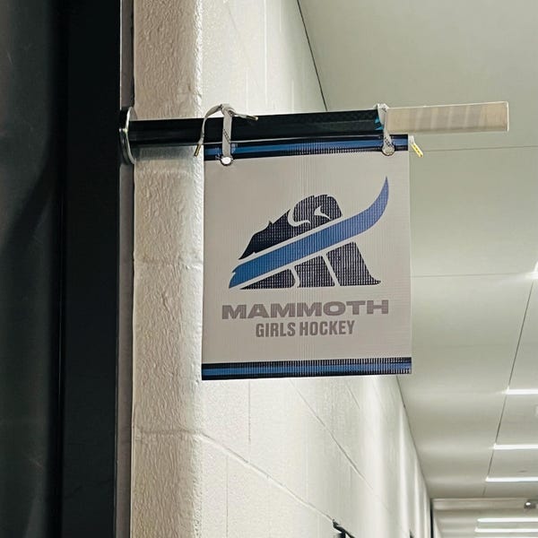 Magnetic Hockey Stick Banner for Locker Rooms - Etsy Canada