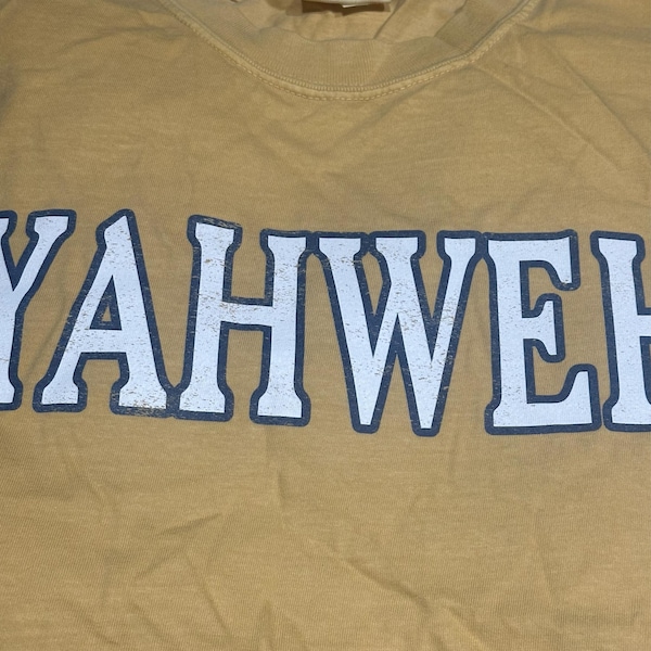 Custom Football Mascot Shirt, Comfort Colors Distressed Team Spirit Tee ...