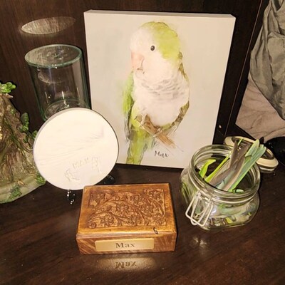 Custom Bird Portrait Beautiful Pet Artwork Custom Parrot - Etsy