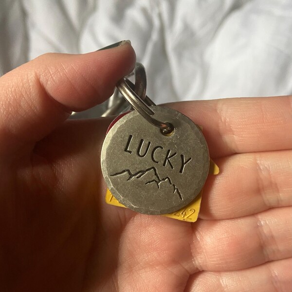 Mini Dog Tag for Dogs, the Bean, Dog Tag, Kidney Bean, Personalized ...