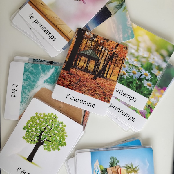 4 SEASONS • 36 Editable Montessori Cards • Flash Cards Nomenclature ...