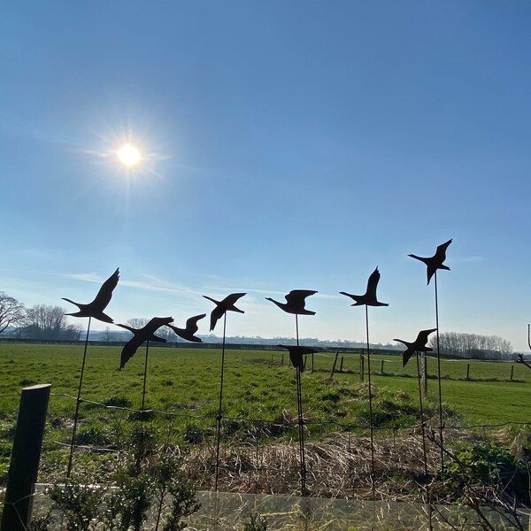 Flying Geese Garden Art / Rusty Metal Geese Sculpture / Swans in Flight ...