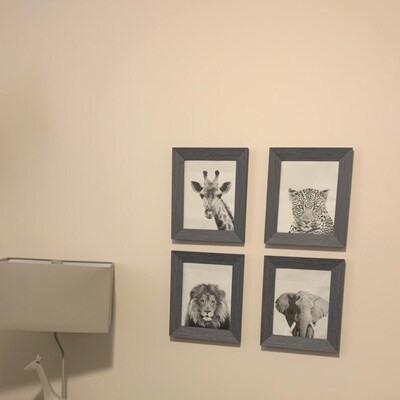 Monkey Print Cute Baby Monkey Photo Animals Art Photo Baby - Etsy