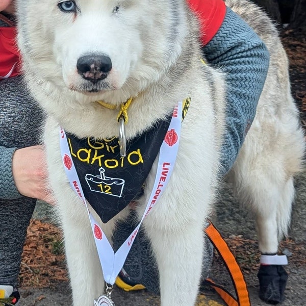 Dog Rescue Patch 3 Inch Round Patch Embroidered Rescue Dog Patch ...