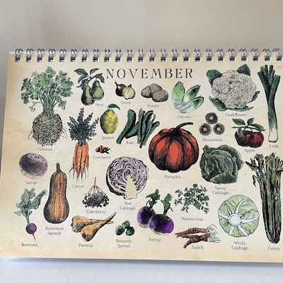 Bee Print, Bee Poster, Bee Chart, Anatomy, Nature, for Kitchen, Unique ...