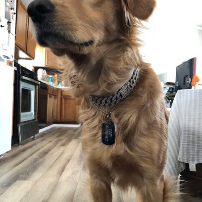 Custom Metal Dog Collar Chain Cute Pet Collar Chain Designer Dog Collar ...