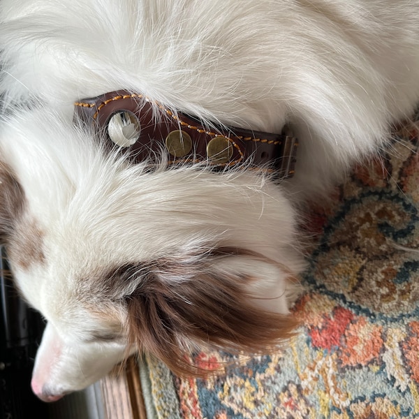 Handcrafted Genuine Leather Dog Collar - Etsy