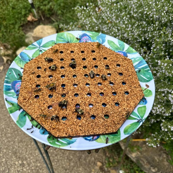 Naturaft Floating Pollinator Island for Bees |eco-friendly Cork Bee ...