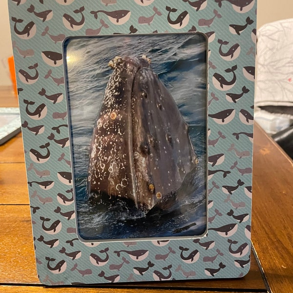 Hoops Decoupaged Embellished 4x6 Inch Vertical Basketball Picture Frame ...