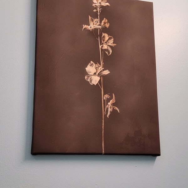 Dragonfly 30 Print - Etsy