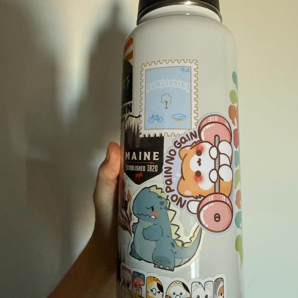 Please Handle With Love FRAGILE Sticker | Cat Meme Stickers | Kawaii ...