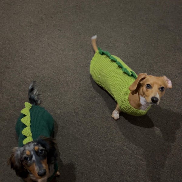 Pet Frog Costume Halloween Costume Frog Sweater and Hat Dachshund Frog ...