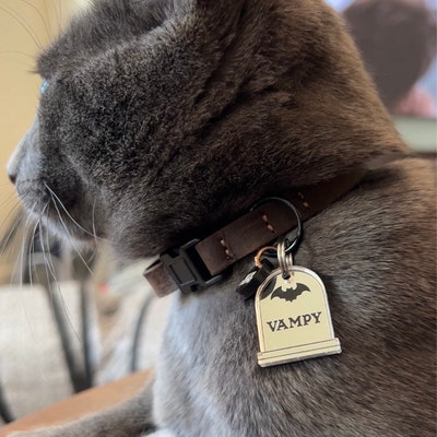 Personalized LED Dog Tag Light up Dog Tag Color Changing - Etsy