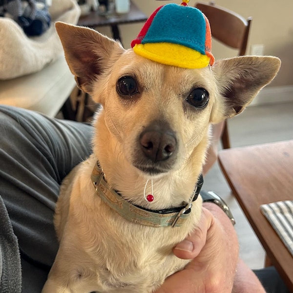 Beanie Hat / Propeller Helicopter Hat for Cat Dog Small Pet Hedgehog ...