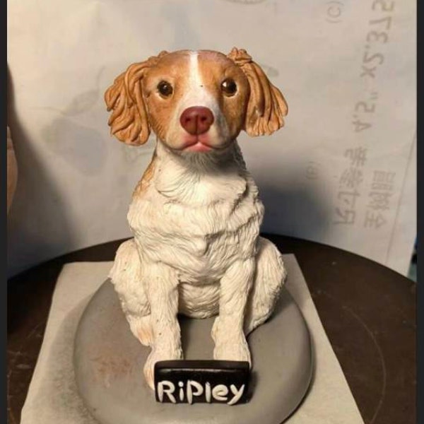 Custom Bobbleheads From Photo, Personalized Bobblehead Cheap, Make Your ...
