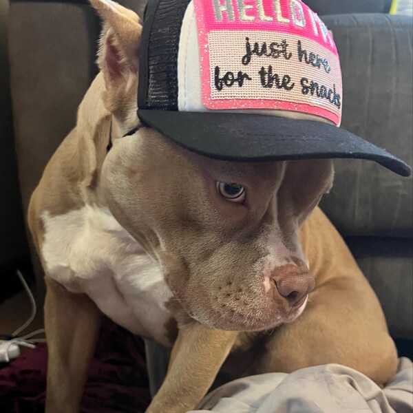 Money Bag Patch, Trucker Hat Patches, Pink Patch, Preppy Patch, Cowgirl ...