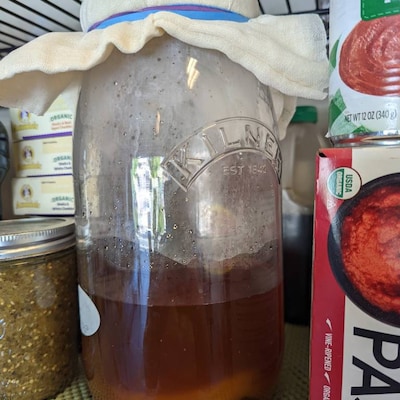 Apple Cider Mother of Vinegar Scoby ACV Starter Homemade Probiotic ...