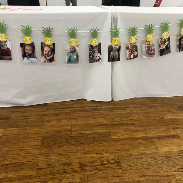 Pineapple Photo Banner BLUE- Pineapple Birthday Decorations- Pineapple ...