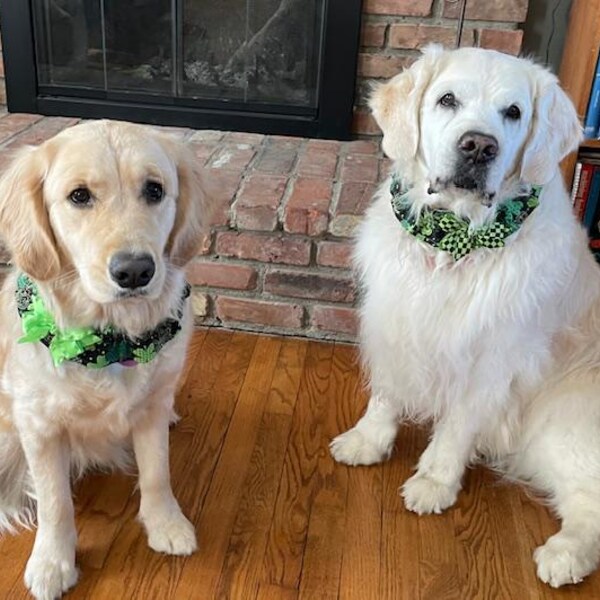 Dog Ruffle Collar, Budding Blooms Dog Scrunchie Collar With Pink ...