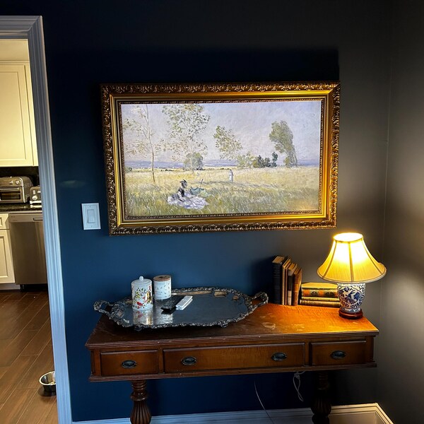 TV Screen Protector for Sony Tvs. Special Dimensions for All Models ...