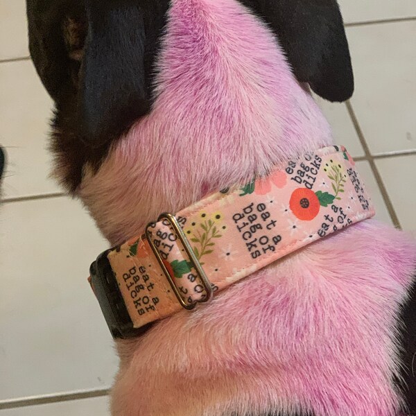 Dog Collar/fresh Out of Fus Dog Collar/ Flower Dog Collar/ Cussing Dog ...