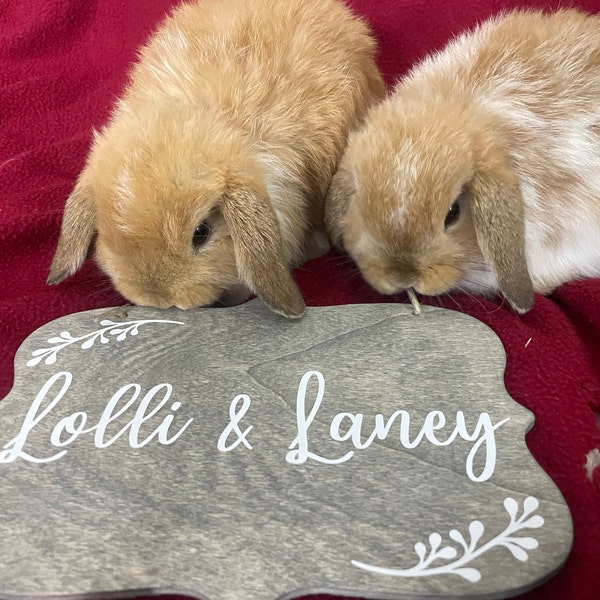 Grey Small Wooden Hanging Quote Sign Decor for Small Pets/bunny/rabbit ...