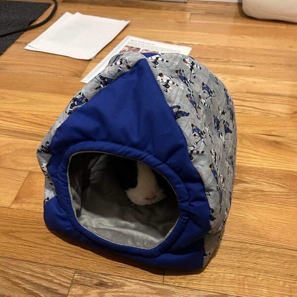 Make Your Own Guinea Pig Hidey Huts: Digital Sewing Pattern and ...