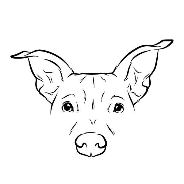 Custom Pet Ear Outline Drawing, Dog Ear Drawing, Pet Ear Tattoo Design ...