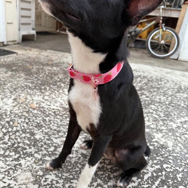 Luxe Blue Sapphire Velvet Key Fob Wristlet | Winter | Rose Gold, Gold ...