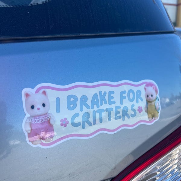 I Brake For... Bumper Sticker Cute Bumper Sticker, Coquette Bumper ...