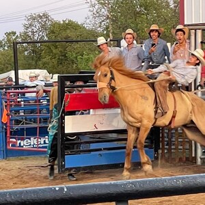 Custom Horse Brand Wall Decor Branded Horse Ranch Decor - Etsy