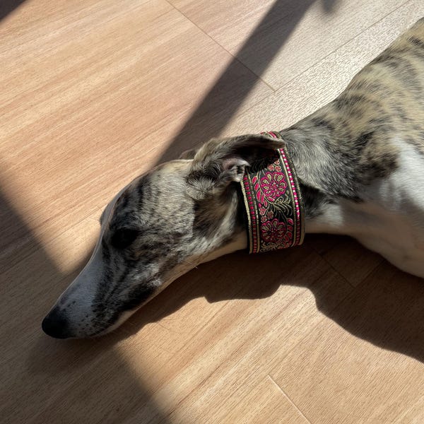 Comfortable, Soft&cosy, Elegant Whippet Martingale Collar. Width 5.5cm ...