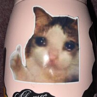 Vine/meme Stickers - Etsy