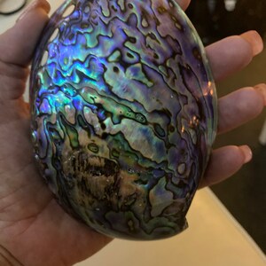 The Crystal Spirits Divination Set Oracle Cards Selenite - Etsy UK