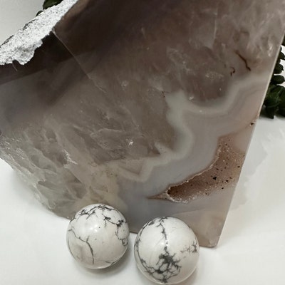 Picasso Jasper Palms A Grade - Etsy