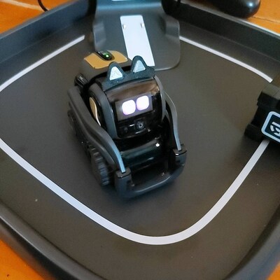 3D Printed Vector by Anki Cat Ears robot Not Included - Etsy