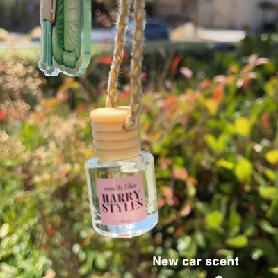 Car Diffuser, CUSTOM TEXT Car Air Freshener, Hanging Car Diffuser ...
