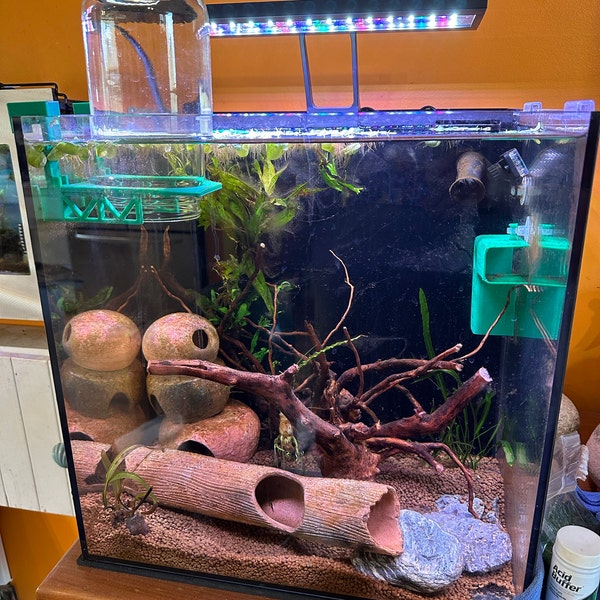 Inverted Betta Tank Holder, Panoramic View for Betta Fish, 360 View for ...