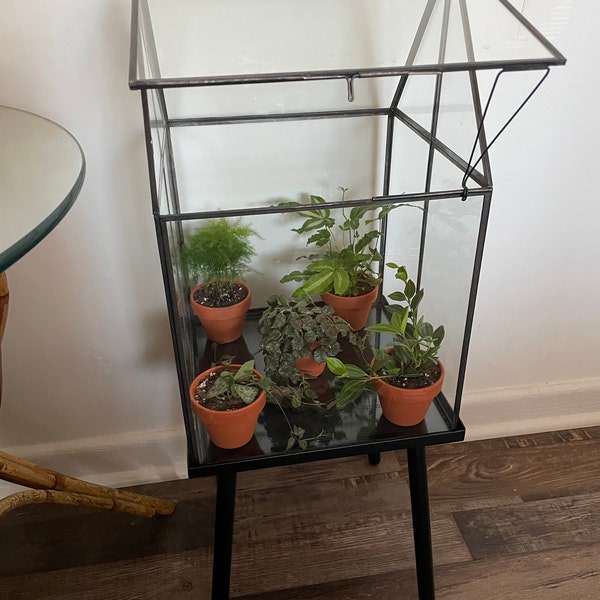 UB Extra Large Terrarium, Glass and Steel, Perfect For: Indoor Garden ...