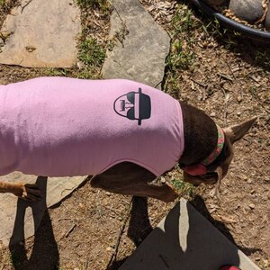 BMX SVG PNG 30 Design Pack Skate Park Dickies Window Decals ...