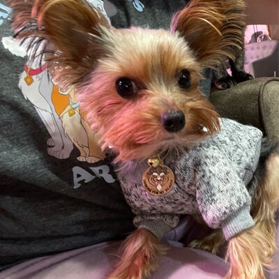 Binx is My Boo SVG - Etsy