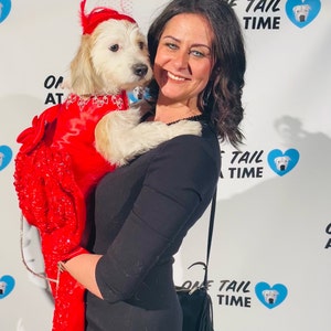 Star Spangled Girl Dog Harness Dress Xxsmall to 4xlarge Dog - Etsy