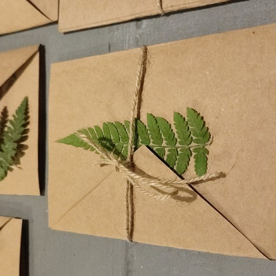 100 Pressed Fern Leafs, Real Pressed Fern, Pressed Green Fern,dried ...