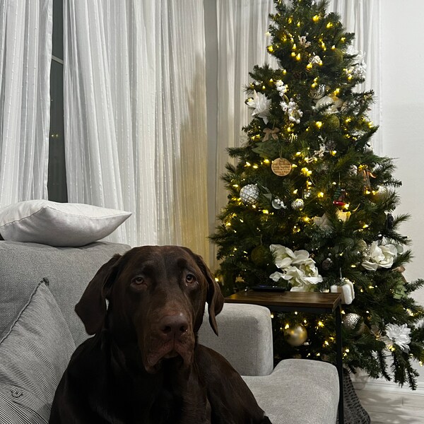 Labrador Christmas Tree Topper // Dog Christmas Decor // Black Yellow ...