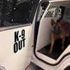 K9 Patrol Car Window Decal / Sticker / K-9 Police Dog / Caution ...