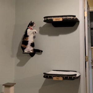 Cat Window Perch, Cat Tree, Cat Tower, Cat Tree Modern, Cat Perch, Cat ...